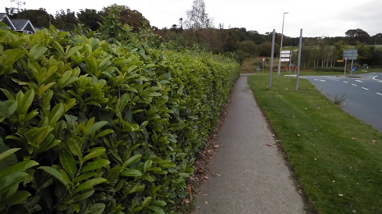 my channel is growing super fast and super big !!! PART 5 - YouTube