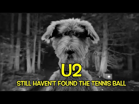 U2 - STILL HAVEN'T FOUND THE TENNIS BALL !!!!! - YouTube