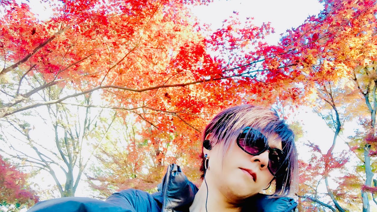 『荻原秀樹のAbsolute technology 』 - YouTube