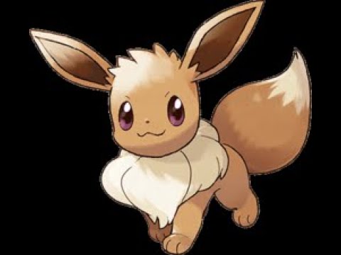 Evoli réalisation - YouTube