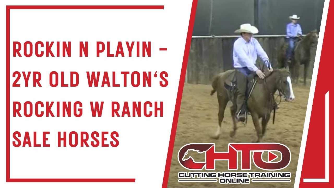 Rockin N Playin - 2yr Old Walton's Rocking W Ranch Sale Horses - YouTube