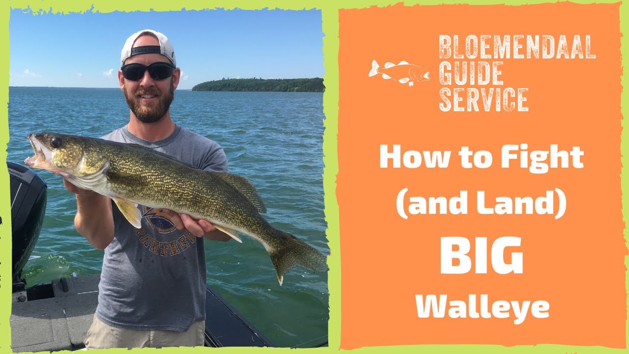 How to Fight (and Land) BIG Walleye - YouTube