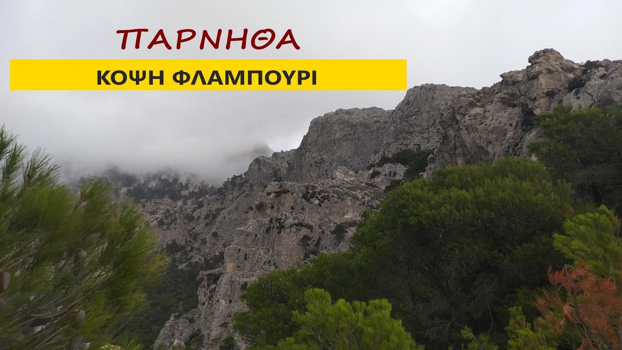 ΠΑΡΝΗΘΑ: ΚΟΨΗ ΦΛΑΜΠΟΥΡΙΟΥ [MOUNT PARNITHA] - YouTube