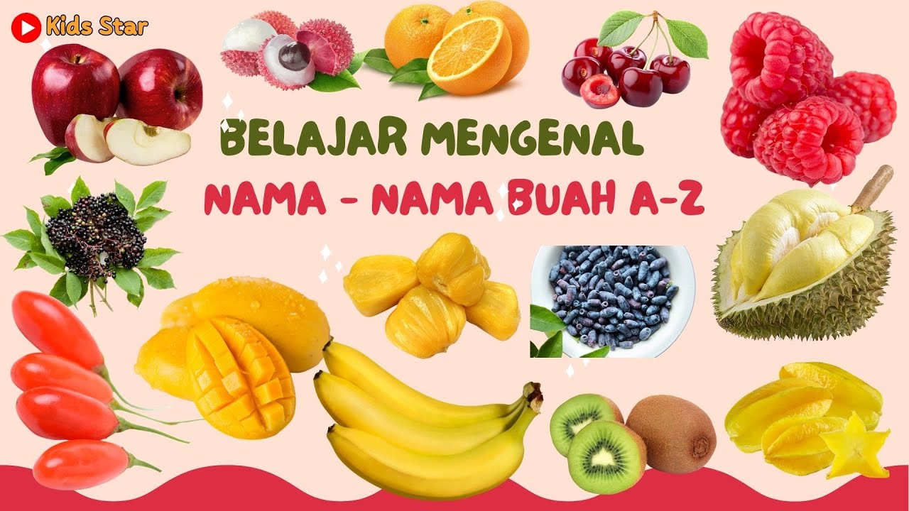 BELAJAR MENGENAL NAMA BUAH-BUAHAN A-Z | BELAJAR NAMA BUAH | LEARNING ...