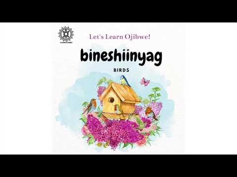 Let’s learn Anishinaabemowin- Spring - YouTube