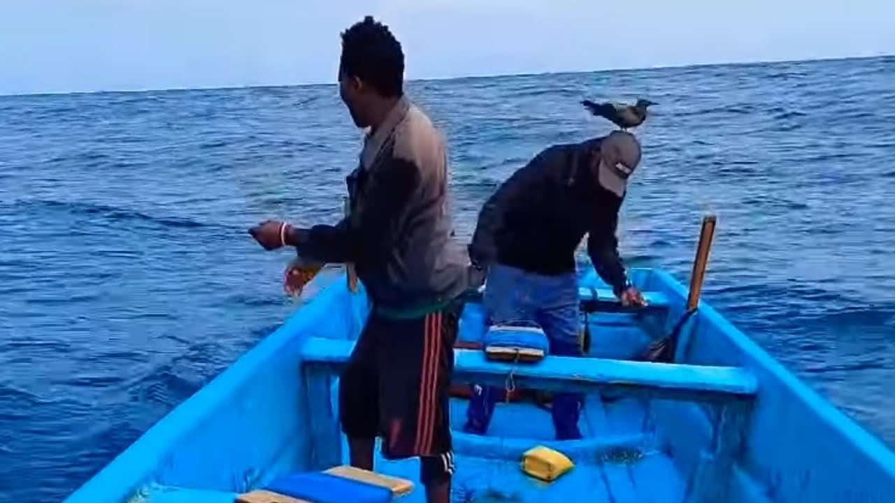 TUNA FISH CATCHING SKILLS IN INDIAN OCEAN SEA AMAZING FISHING VIDEOS ...