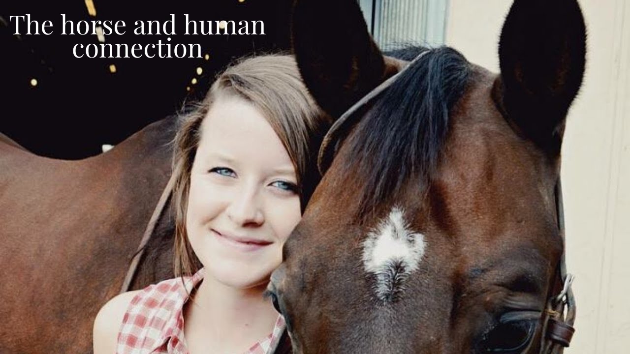 The Horse and Human Connection - YouTube