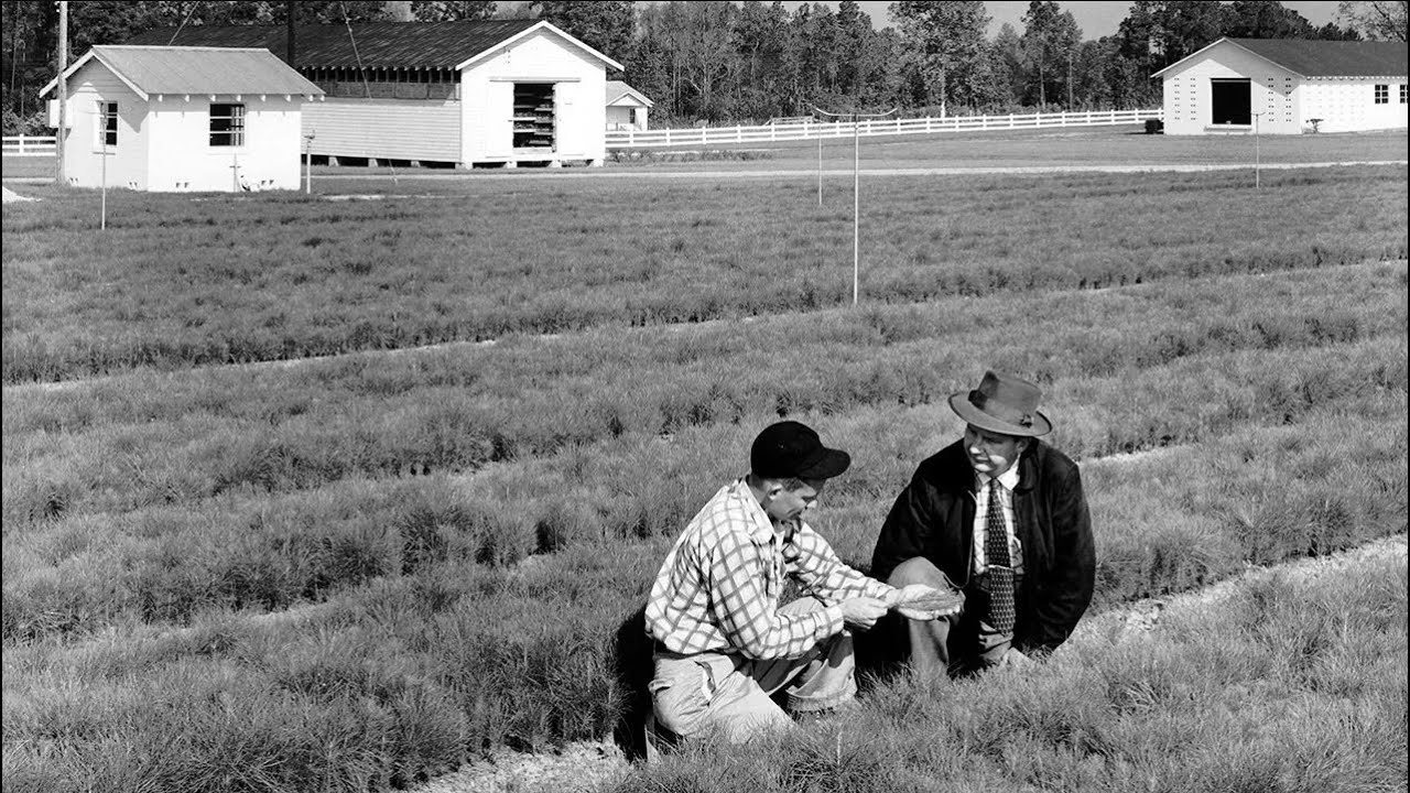 90+ Years of Rayonier History - YouTube