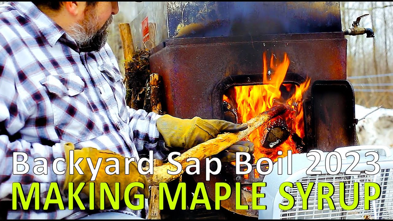 2023 Backyard Sap Boil | Our Maple Syrup Harvest | Watch as We Gather ...