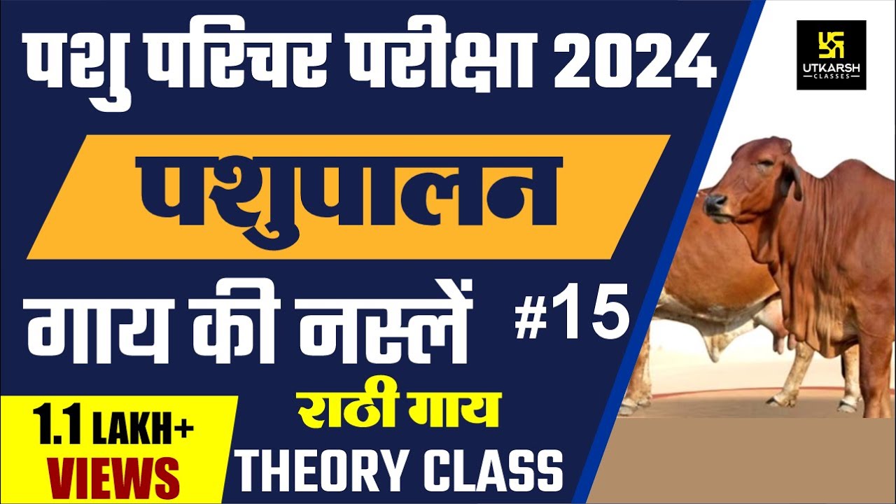 Pashu Parichar Part - B | Cow's Breed | राठी गाय- गाय की नस्लें #15 ...