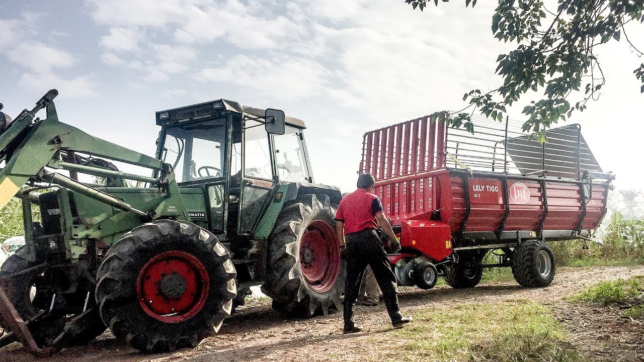 Lely TIGO 35S Forage Harvester 收草車 - YouTube