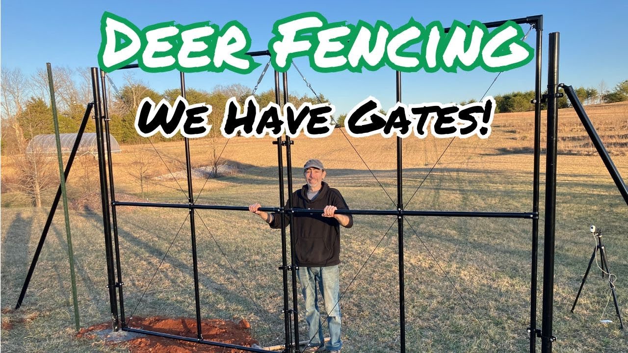 Deer Fencing For Our Orchard...Installing Gates And Corners - YouTube