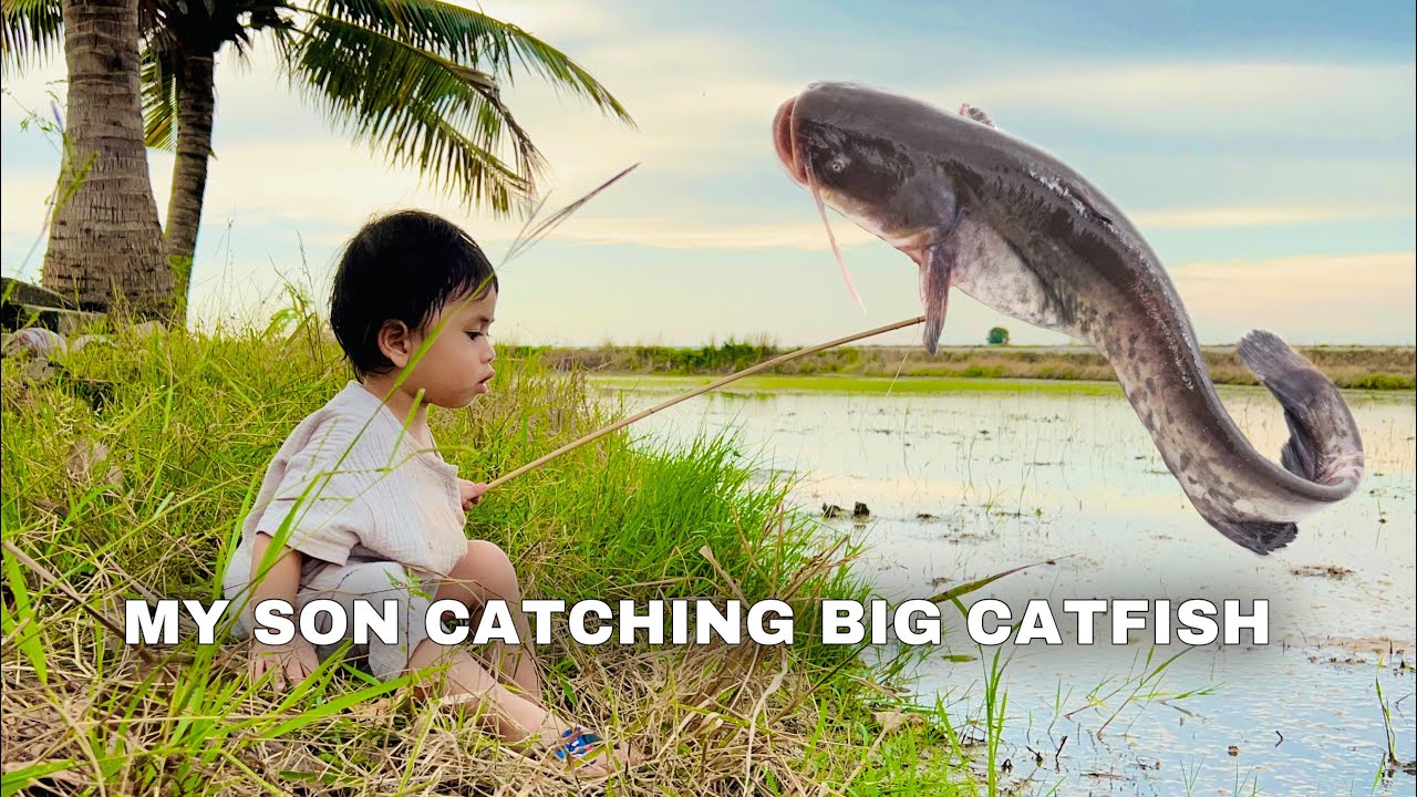 KID CATCHING BIG CATFISH - SUNSET DINNER BY PADDY FIELD - ASMR - YouTube