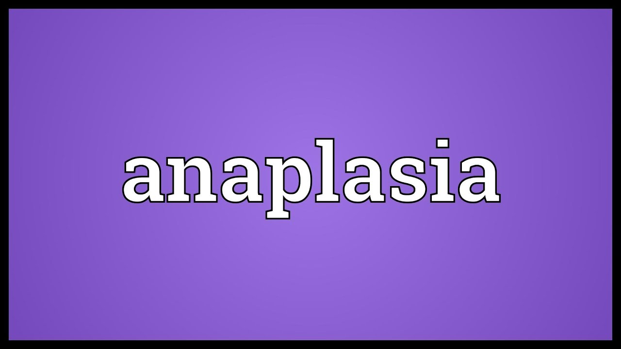 Anaplasia Meaning - YouTube
