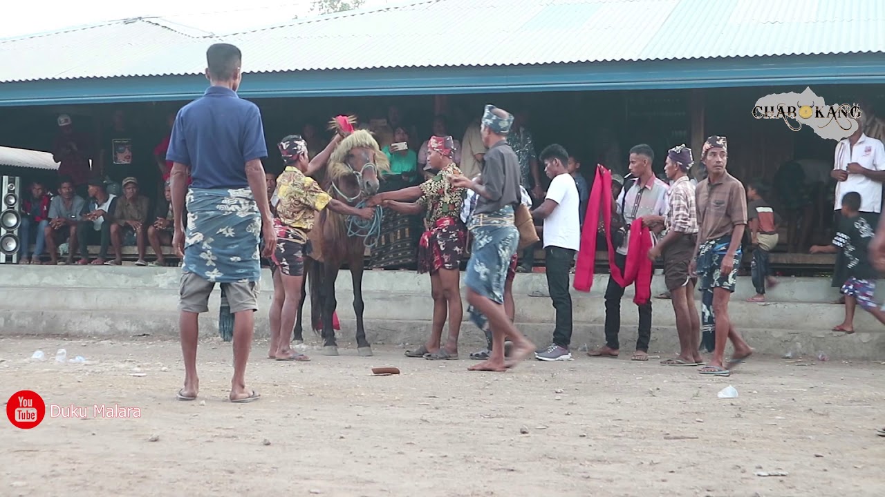 Penguburan Adat (MARAPU) Sumba Timur - YouTube