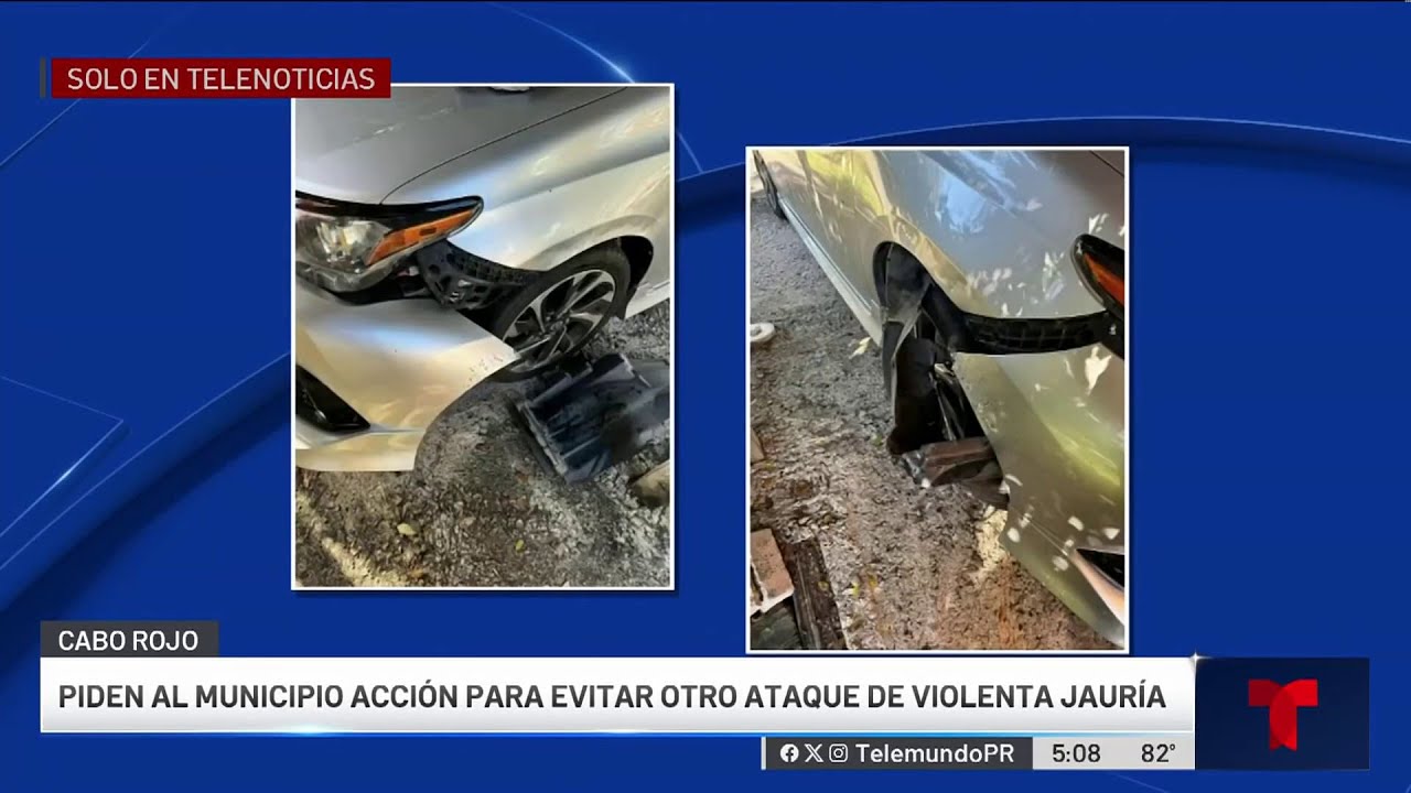 Temor en Cabo Rojo por perros realengos agresivos - YouTube