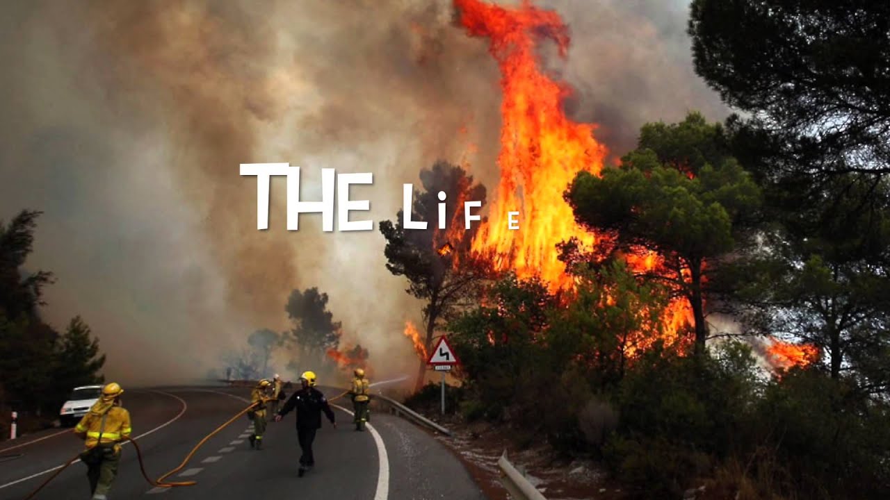 Forest Fire Awareness Video - YouTube