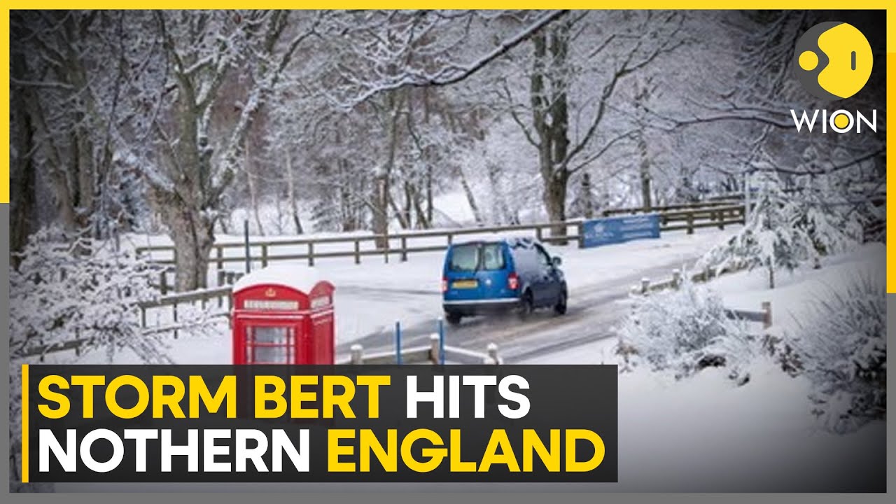 Snowfall Blankets Countries Worldwide as Winter Weather Hits | World ...