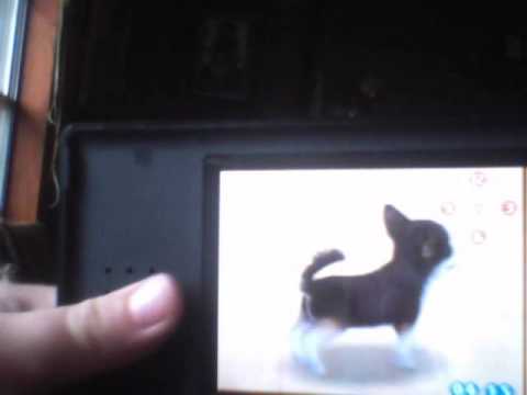 nintendo ds dog game - YouTube