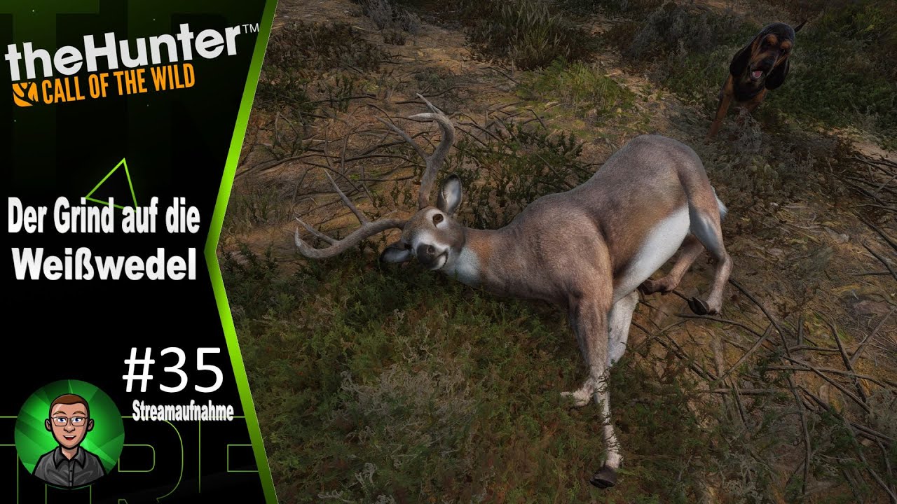 Der Grind auf die Weißwedel - theHunter: Call of the Wild | #35 - YouTube