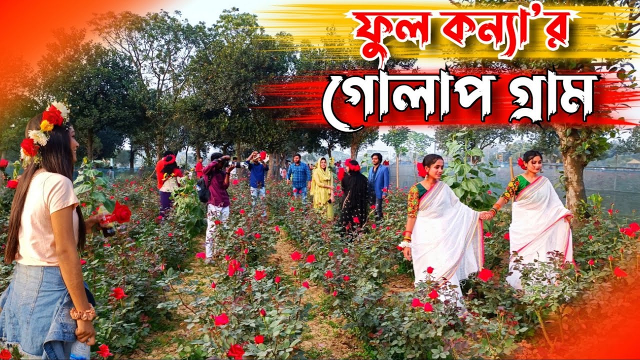 গোলাপ গ্রাম কোথায় অবস্থিত | বিরুলিয়া গোলাপ গ্রাম | sadullapur golap ...