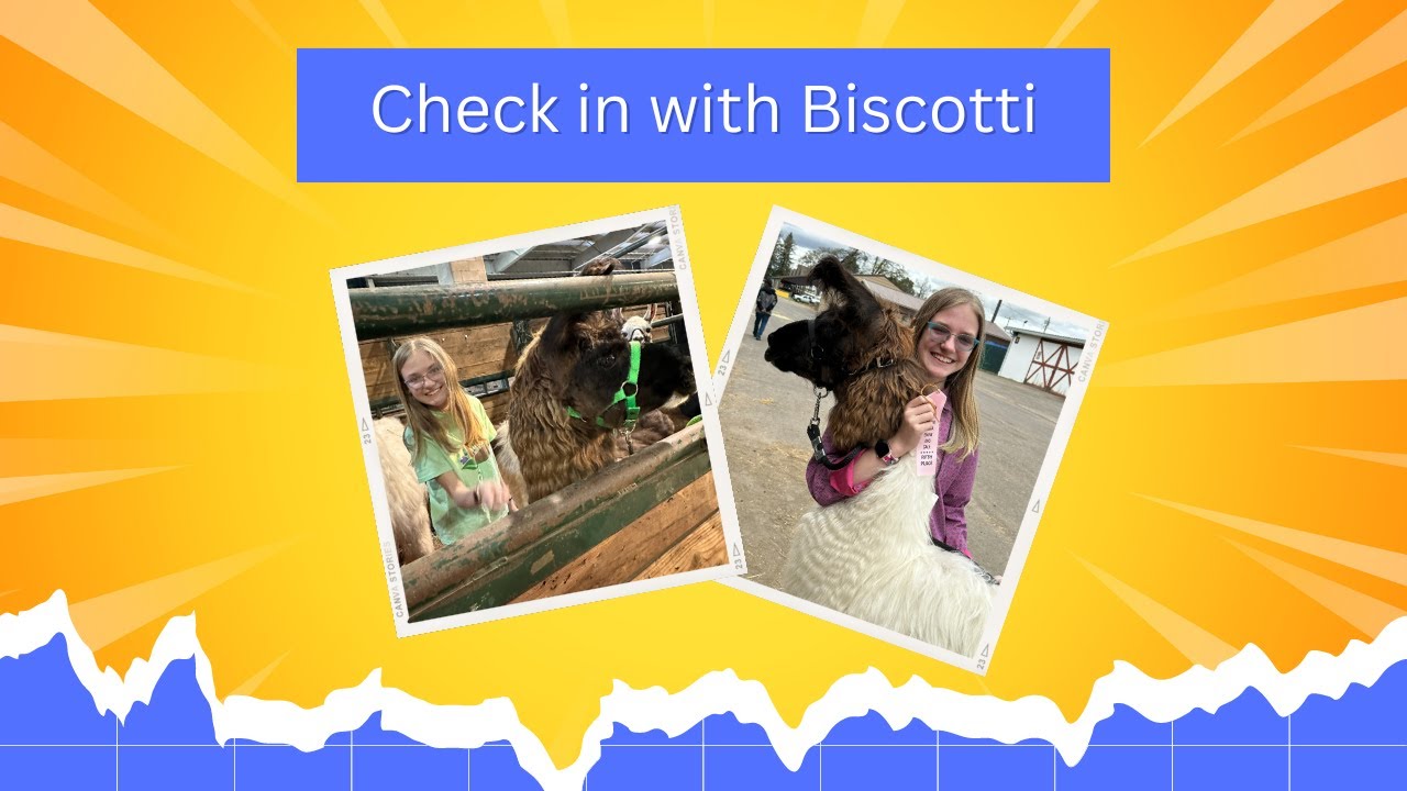 Check in with Biscotti the llama!! - YouTube