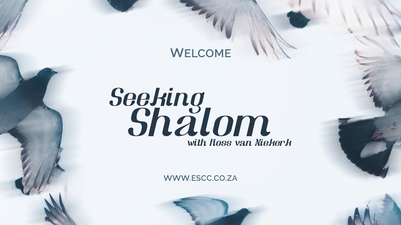 Seeking Shalom | Ross van Niekerk - YouTube