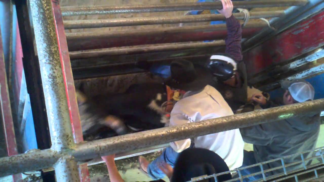 Larry H @ Sankey Rodeo School 12/18/2010 - YouTube