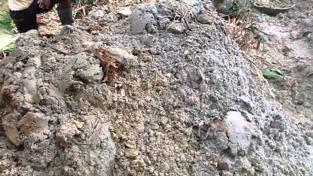 Bulk Sampling - YouTube