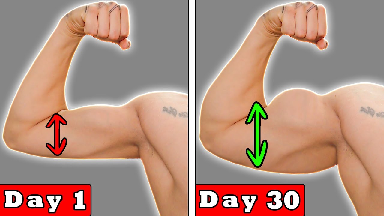 Build Monster Arms in Just 30 Days ! ( Home Workout ) - YouTube