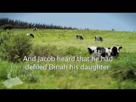 Genesis 34:5 - And Jacob heard that he had defiled Dinah his daughter ...