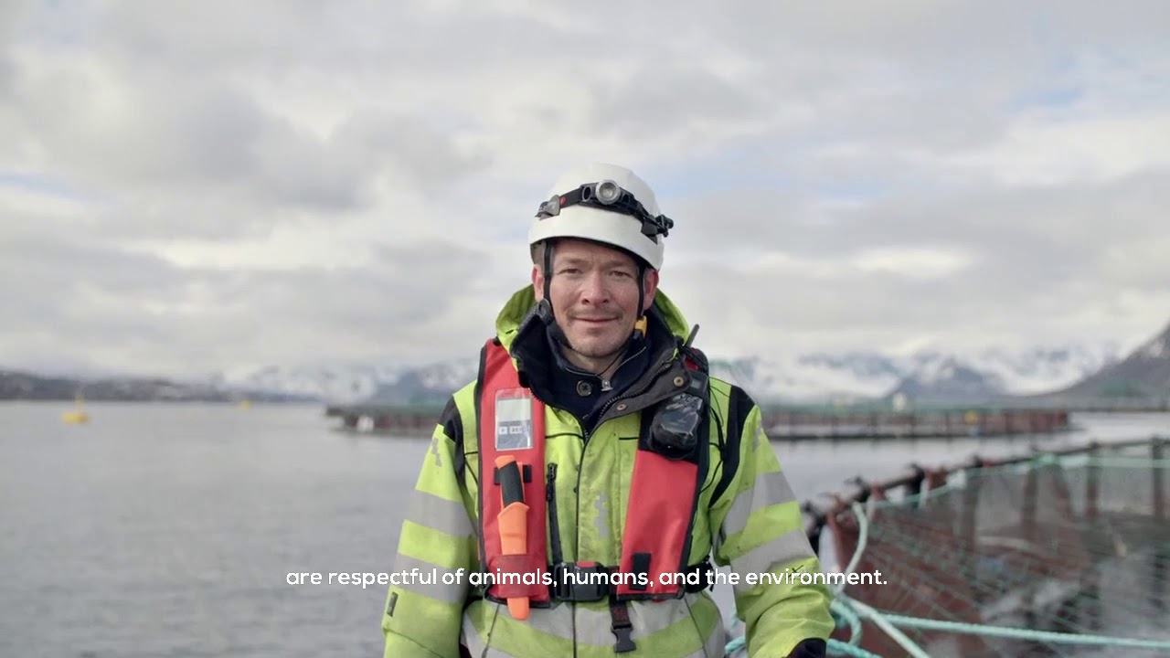 Responsibly Farmed Salmon - YouTube