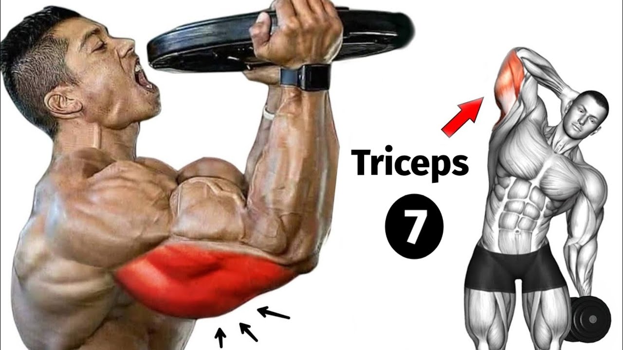 7 Best Exercises for increase triceps size - YouTube