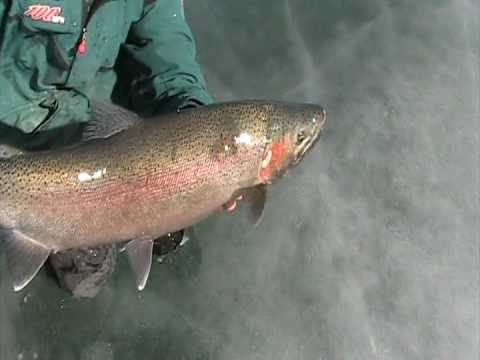 Monster Big Steelhead Feb 2009 Ice fishing Wisconsin!!!! - YouTube