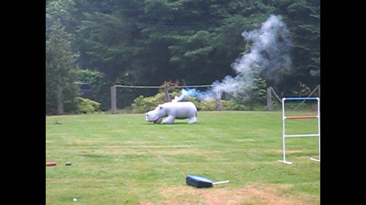 4th of July sparkler Bomb! Hippo exploding - YouTube