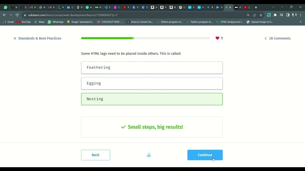 10 Standards & Best Practices | Web Development | Sololearn Answers - YouTube