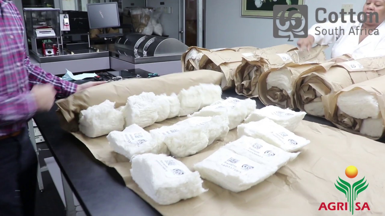 Focus on Cotton SA's laboratory - YouTube
