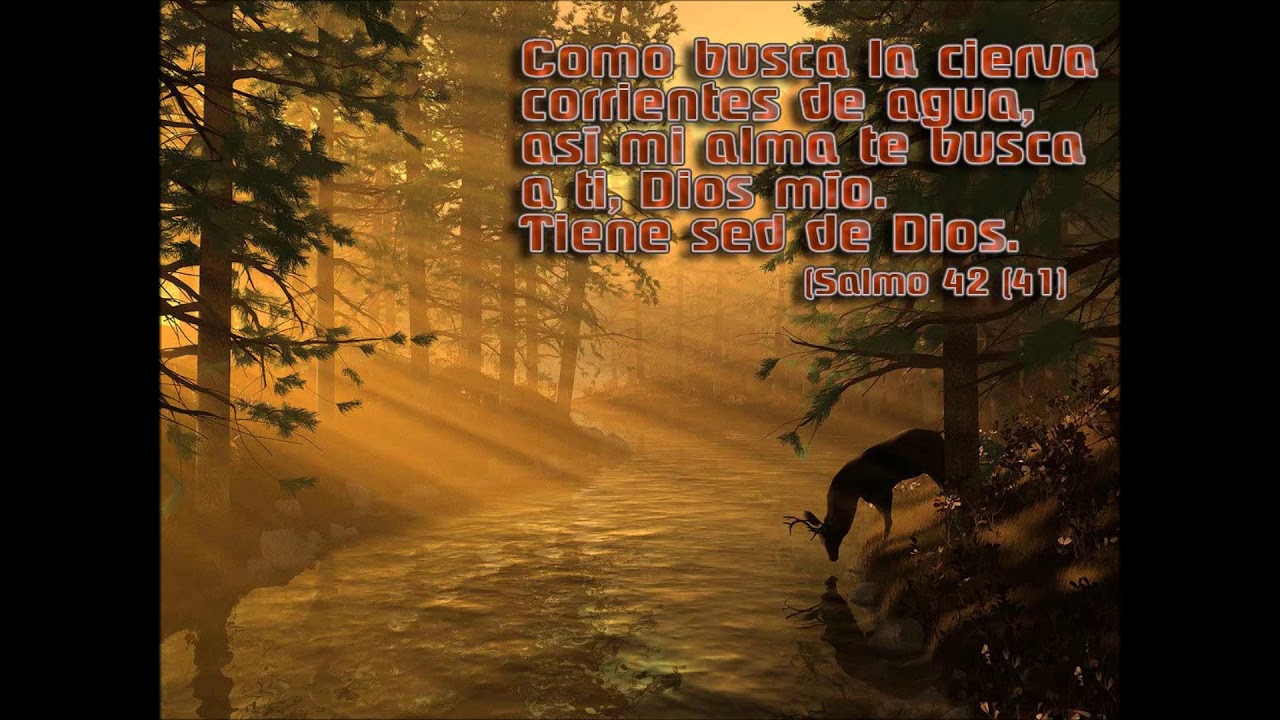 Salmo 41 Como busca la cierva (Manuel F. Garcia) - YouTube Music