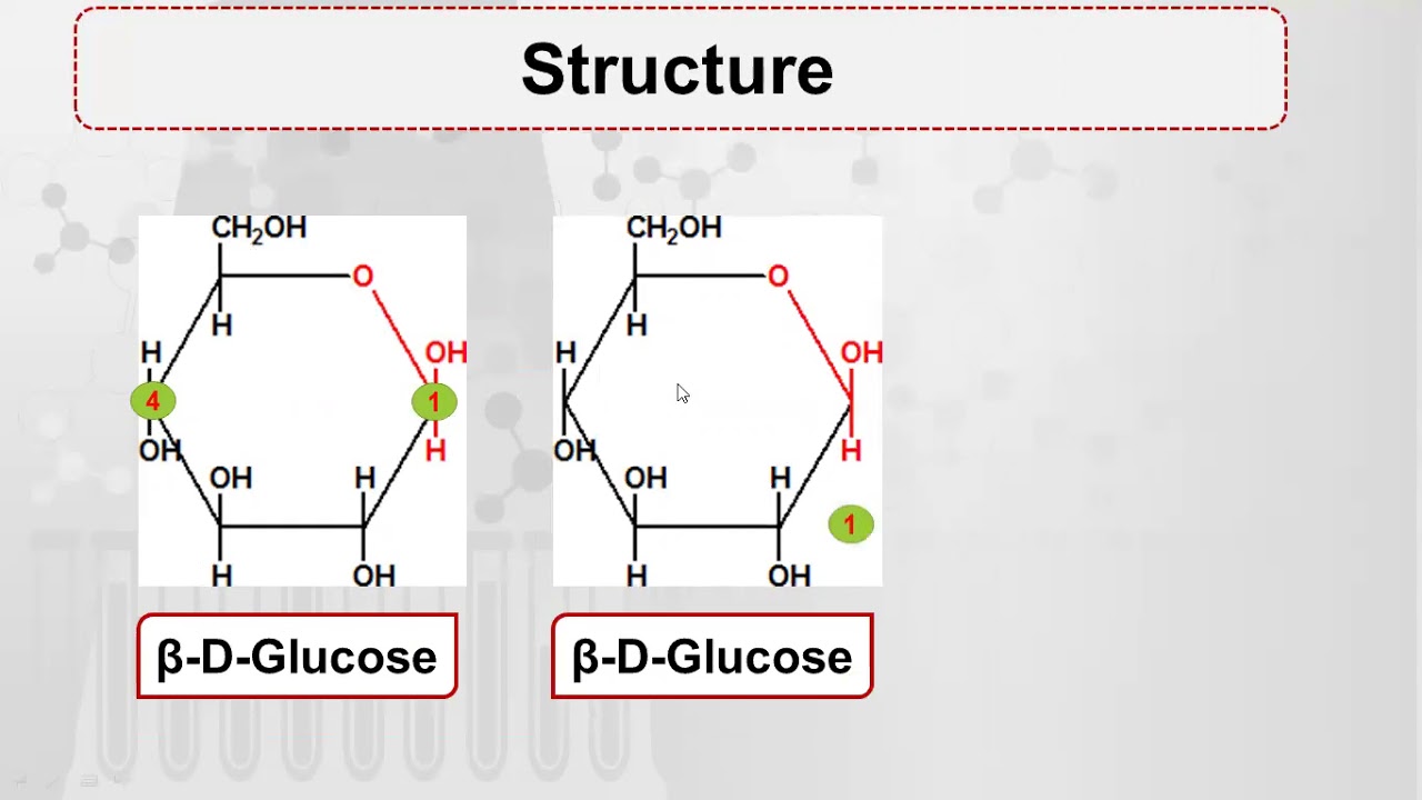 Biochem-17 || Cellulose || Homopolysaccharide || Structure of cellulose ...
