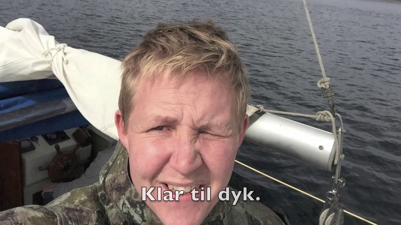 Sejltur Winga 25 - YouTube