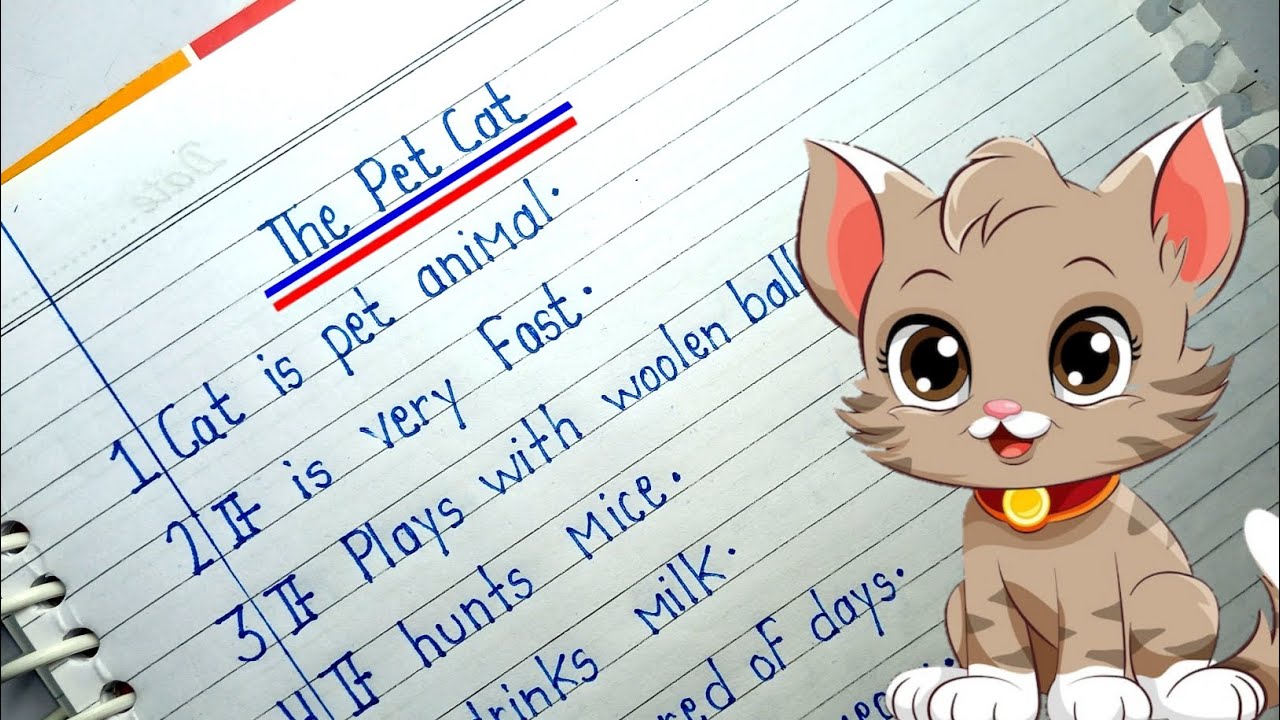 My Pet Cat-10 lines Essay Writing/Essay On My Pet Cat in English - YouTube
