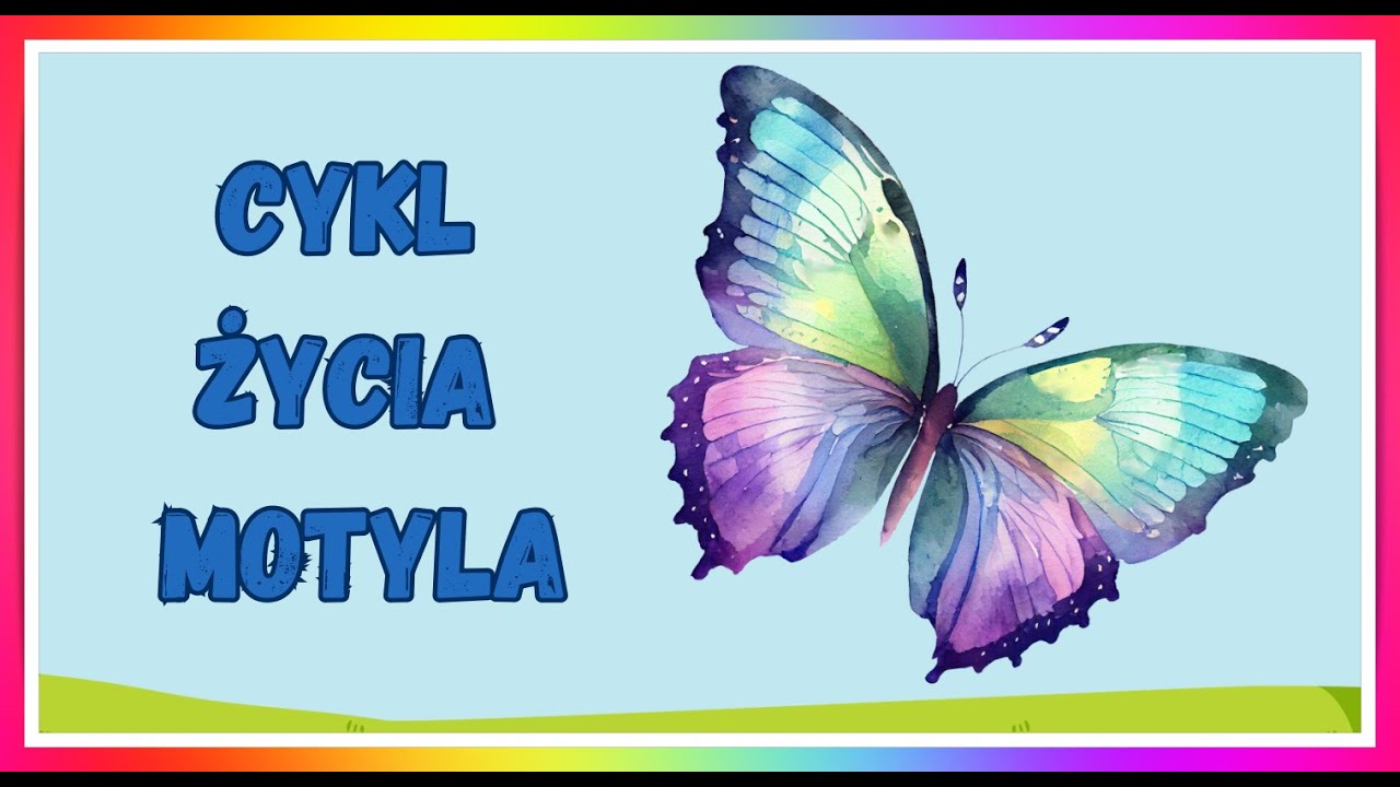 Cykl życia motyla - od jajeczka do owada - film edukacyjny dla dzieci ...