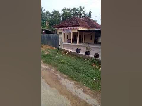 21 April 2024 - YouTube