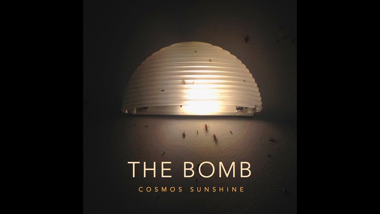 Cosmos Sunshine & The Butterfly Effect ~ The Bomb - YouTube