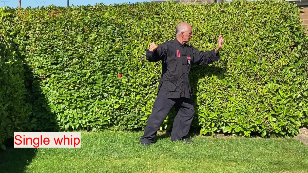 Yang style Tai Chi 15 form - YouTube