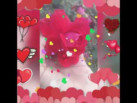 Assalamoalyka ya rasulallah for what's aap status naat