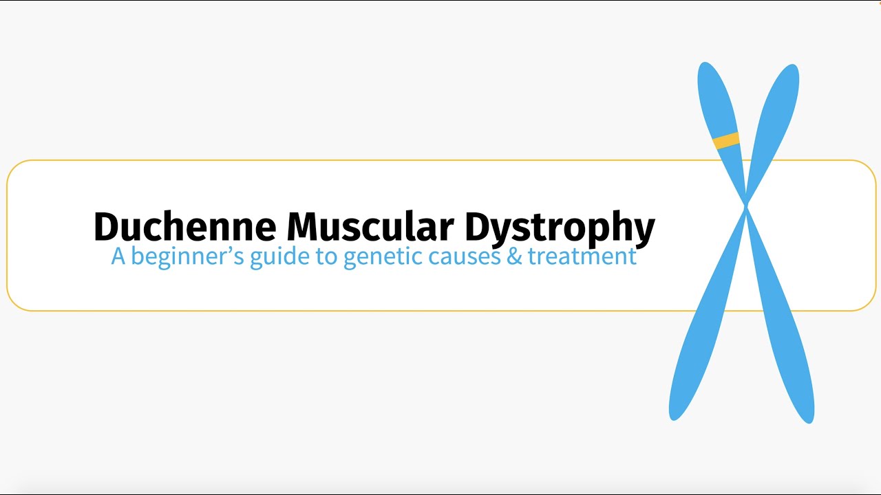 Duchenne Muscular Dystrophy - A beginner's guide to genetic causes and ...
