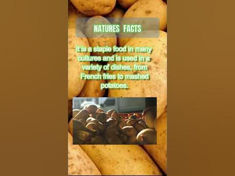 Natures Facts Trivia Potato #shorts - YouTube