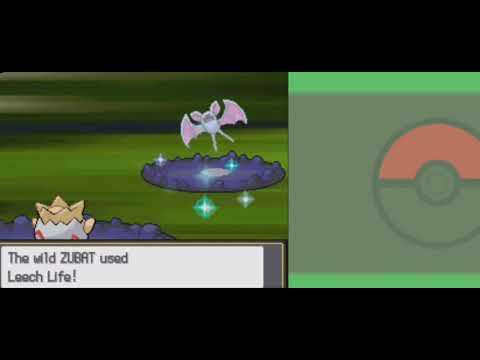 Playing Pokemon HeartGold. Beat gym leader Whitney... why is Miltank so ...