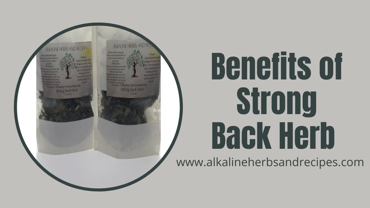 Benefits of Strong Back Herb - YouTube